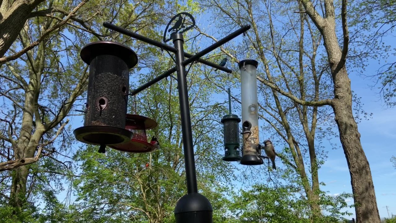 Animal Advocate | Champaign County Forest Preserve District